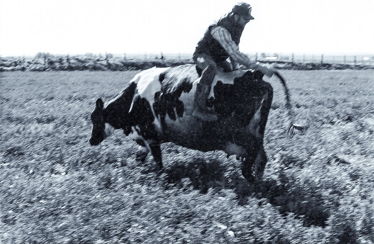 Remembering Moments – Rose Gold Flamingo